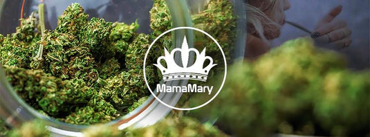 MamaMary ™ | Best Cannabis Dispensary in Rome,IT | Olio CBD | Hashish – mamamary