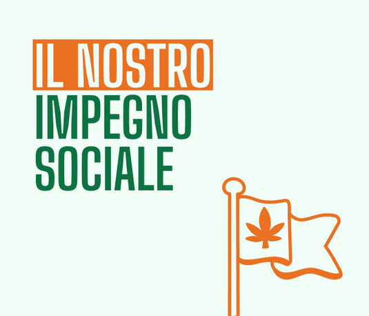 MamaMary ™ | Best Cannabis Dispensary in Rome,IT | Olio CBD | Hashish – mamamary